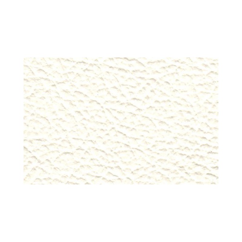 3304 Fawn - Basic Collection - Carleather