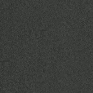 Spring 430 (simili) - Spring Collection - Carleather