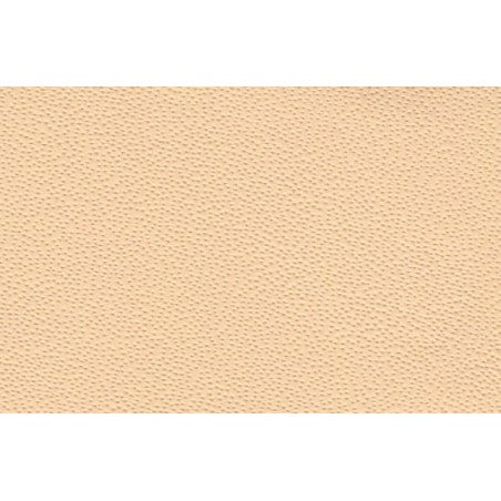 6502 Barley (simili) - Nappa Collection - Carleather