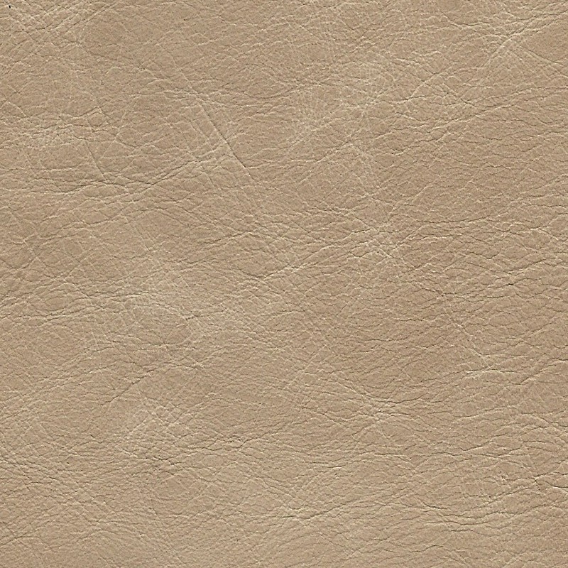 1101 Biscuit - Apache Collection - Carleather